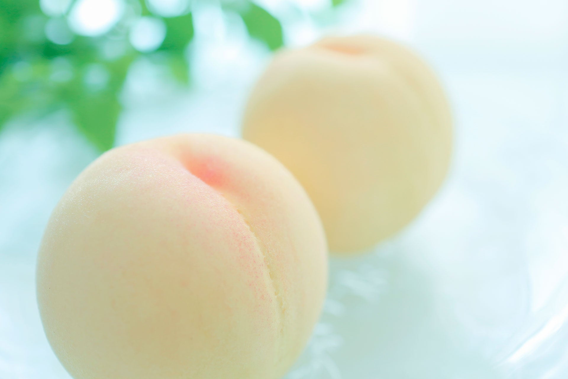 桃のオンラインショップ「SnowPeach開発農家」ふじ農園 Snow Peachページ